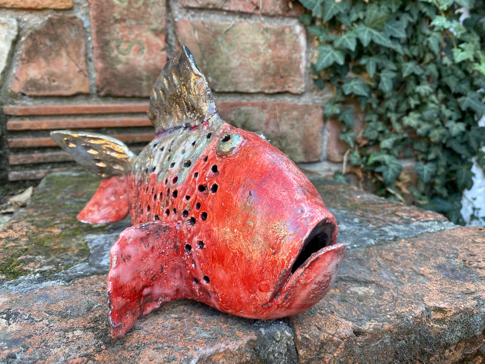 Riba crvena | RakuNela